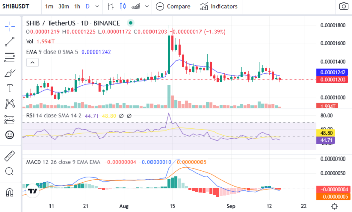 Are Shib Whales Gearing Up for Shiba Inu (SHIB) Rally? - Coin Edition