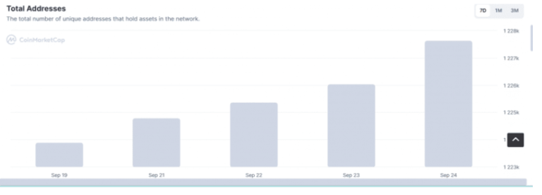 Traders Hold On As Shiba Inu Shows Growth On Various Fronts - Coin Edition