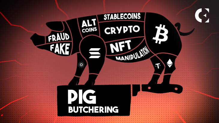 What Is ‘Pig Butchering’ and How To Protect Your Investments From Such ...