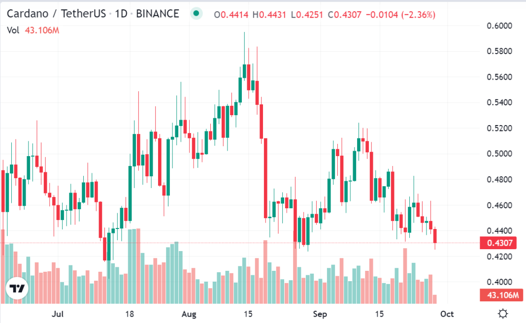 Charles Hoskinson Shares Heartfelt Birthday Video for Cardano - Coin Edition