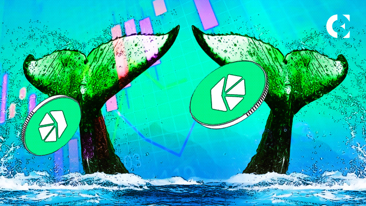 KNC Whales Accumulate 20% of the Supply Since July 31 - Coin Edition