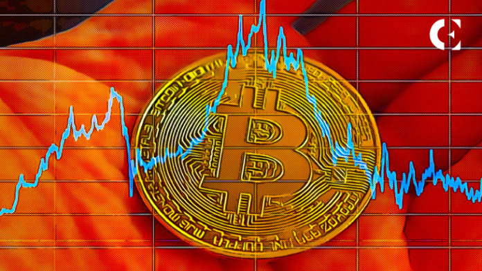 BTC Still Above $20K Despite the Fact Most Cryptos Are Down - Coin Edition