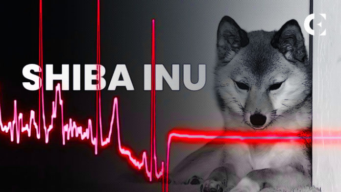 Recent Data Paints A Gloomy Picture Of Shiba Inu’s Future - Coin Edition