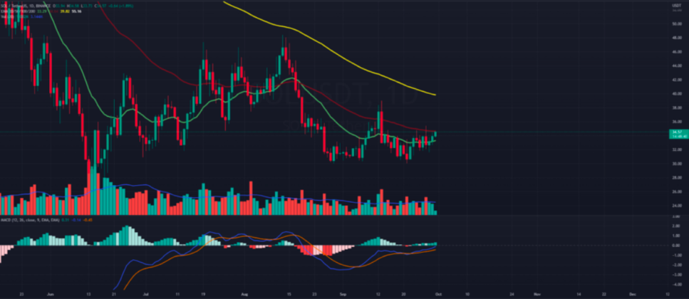 Solana: To Buy or Not To Buy, a Detailed Guide For Your Next Trade ...