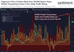 DOGE Whale Activity Picks up Shortly After DOGE’s Price Gains 8 ...