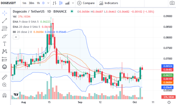 DOGE Whale Activity Picks up Shortly After DOGE’s Price Gains 8 ...
