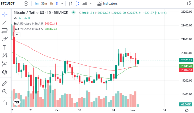 Technical Indicators Suggest That BTC Has Established Its Bottom - Coin ...