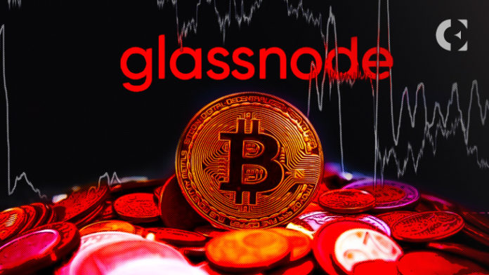 Glassnode Reports Crabs And Shrimps Are Stocking Up On BTC - Coin Edition