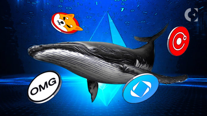 WhaleStats Lists Top 10 Tokens Traded By The Top 100 ETH Whales - Coin ...