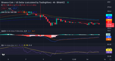 BNB Forms a Bullish Pennant, a Bullish Reversal Likely? - Coin Edition