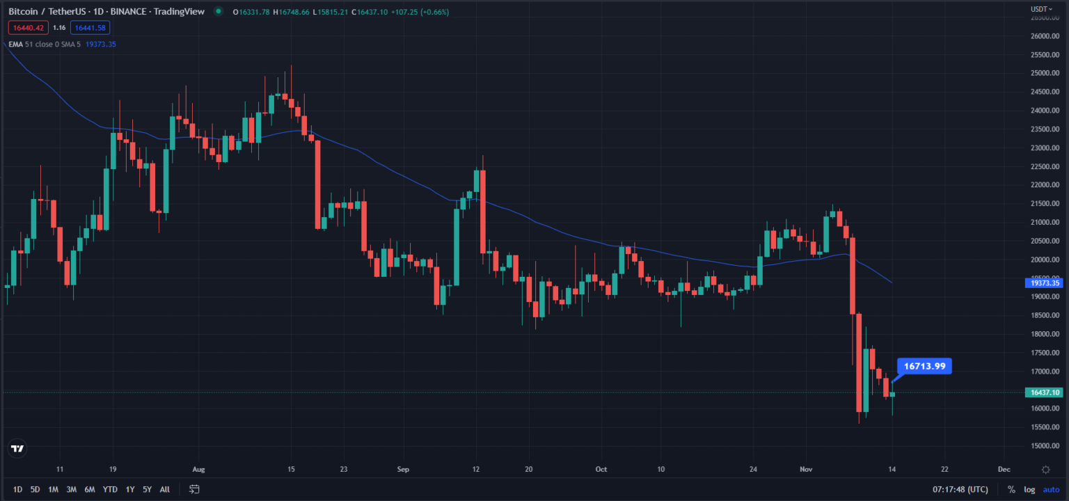 BTC Price Dicey After FTX Fallout, Holder Behavior Changes - Coin Edition