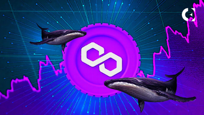 MATIC Is Trading Above the $1 Mark as Whales Become Active - Coin Edition