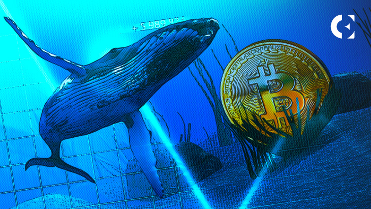 Bitcoin Whales Unload 50,000 BTC, Market Braces for Potential Surge