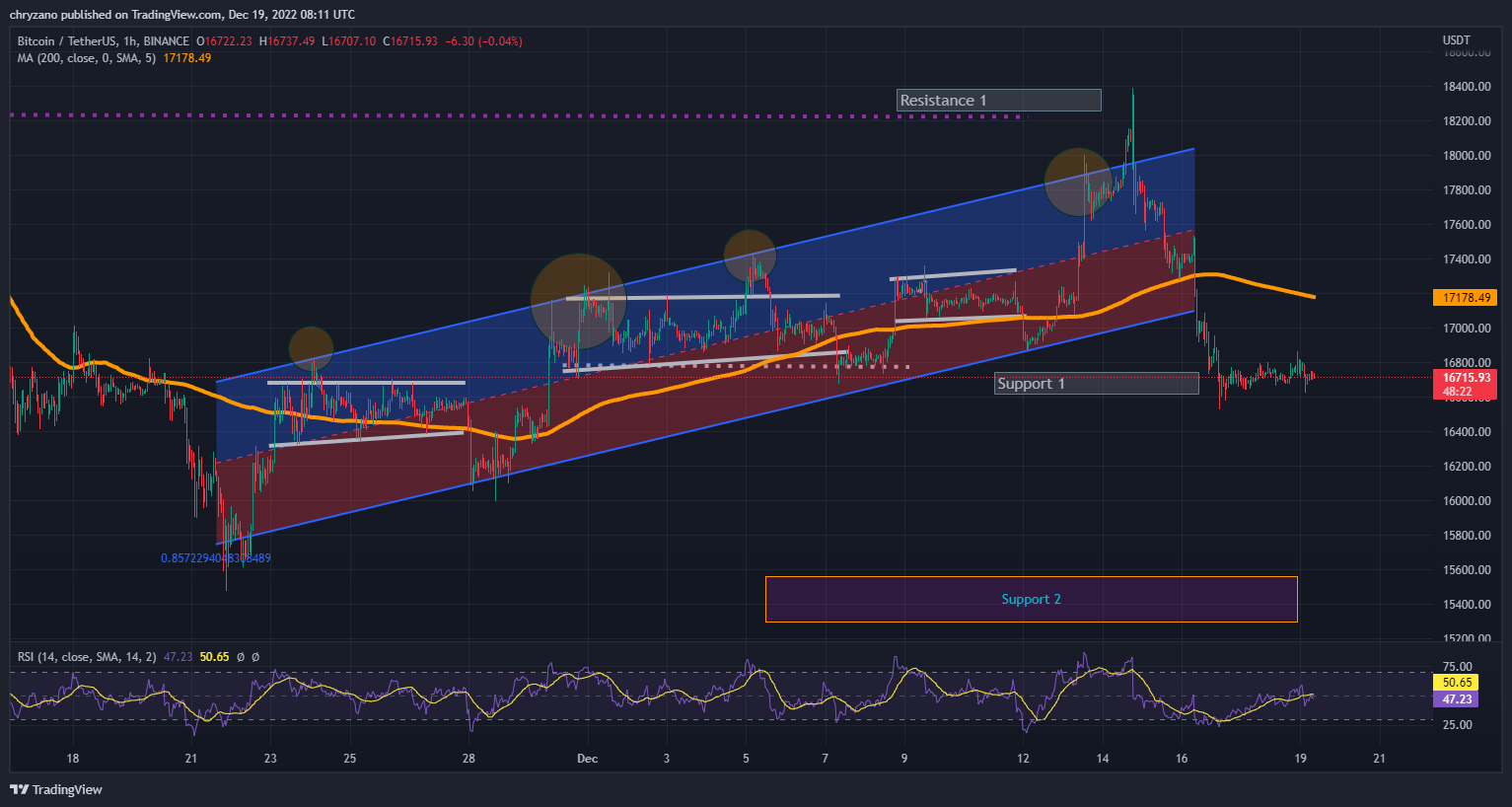BTC May Rise to $17.5K and Tank to 10K, Forming Double Tops - Coin Edition
