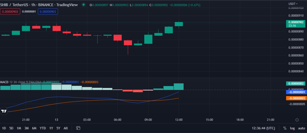 SHIB Bulls Take the First Step in the Vision of a Future Rally - Coin ...