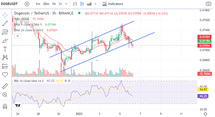 DOGE Disappoints After 4+% Price Drop In Just 24 Hours - Coin Edition