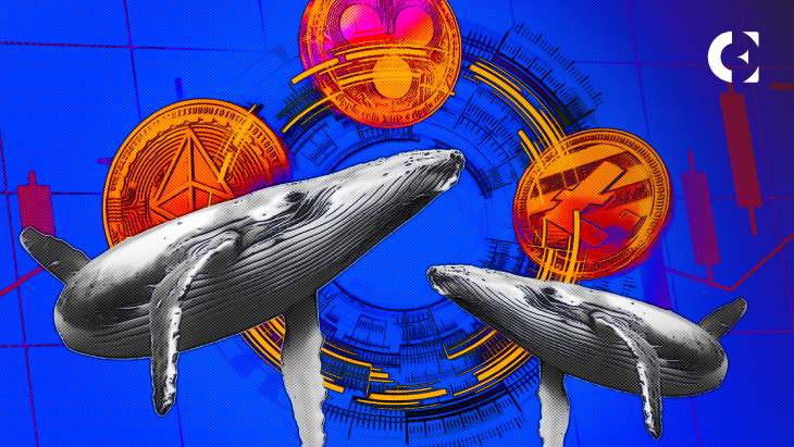 Large Whale Transactions Captured on Multiple Altcoin Networks - Coin ...