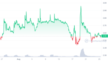 Top 5 Fan Tokens by Market Cap: Which Ones Are Worth Investing In ...