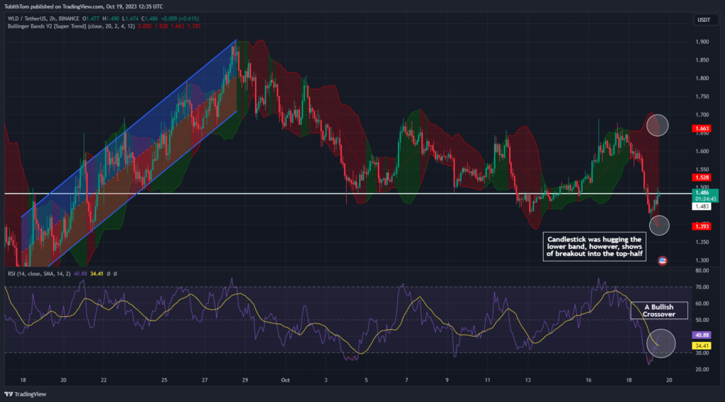Whales Sees WLD as Opportunity After Massive Buy: Will This Affect the ...