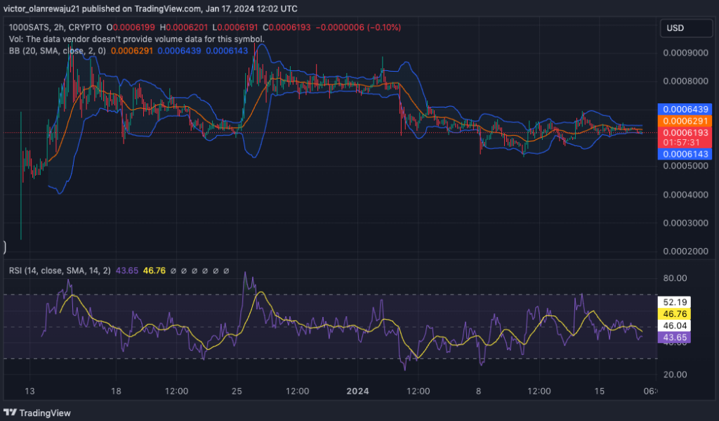 Have New Binance Coins Pumped, Dumped, or Stalled? Find Out