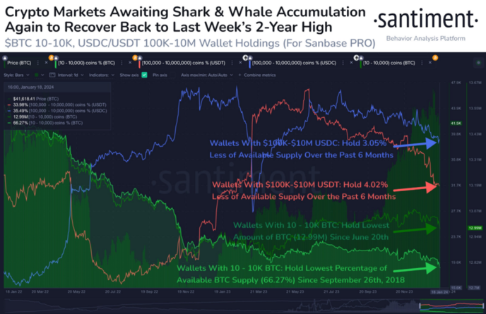 Whale Accumulation Signals Bullish Reversal Amid Ongoing Bearish Trend - Coin Edition