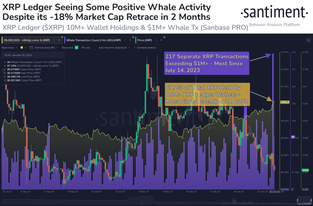 XRP Whales Reemerge, 217 Transactions Exceeding $1M in 1 Day