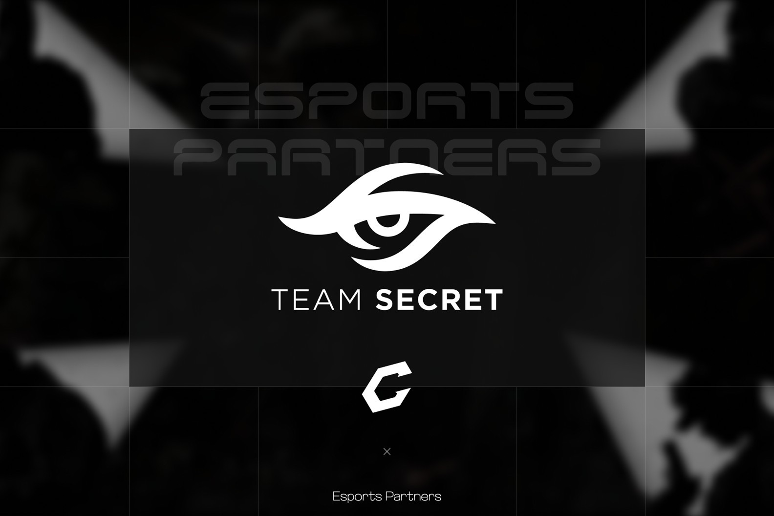 Checkmate Ecosystem welcomes Team Secret as esports partner; Team ...